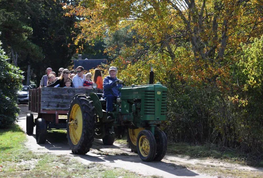 Fall Festival at Taylor-Bray Farm | Robert Paul Properties