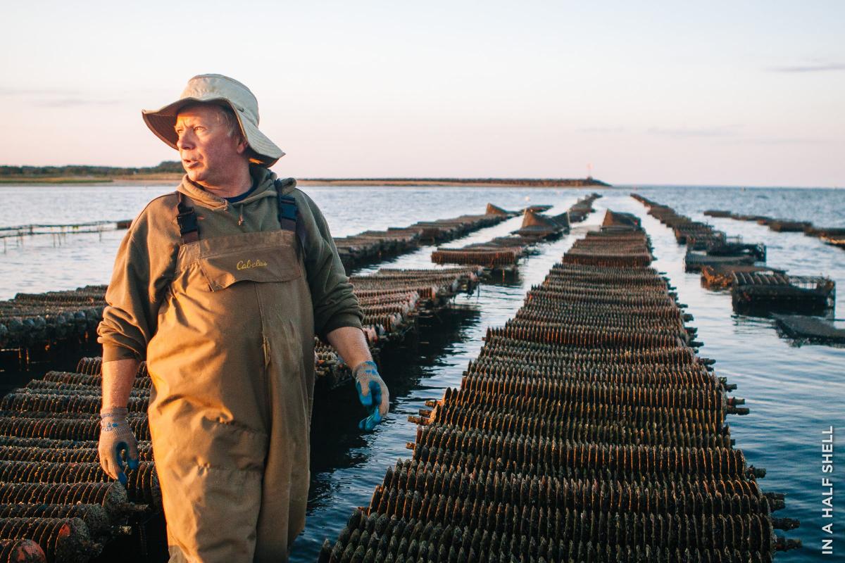 Wellfleet Shellfish Farm Tours | Robert Paul Properties